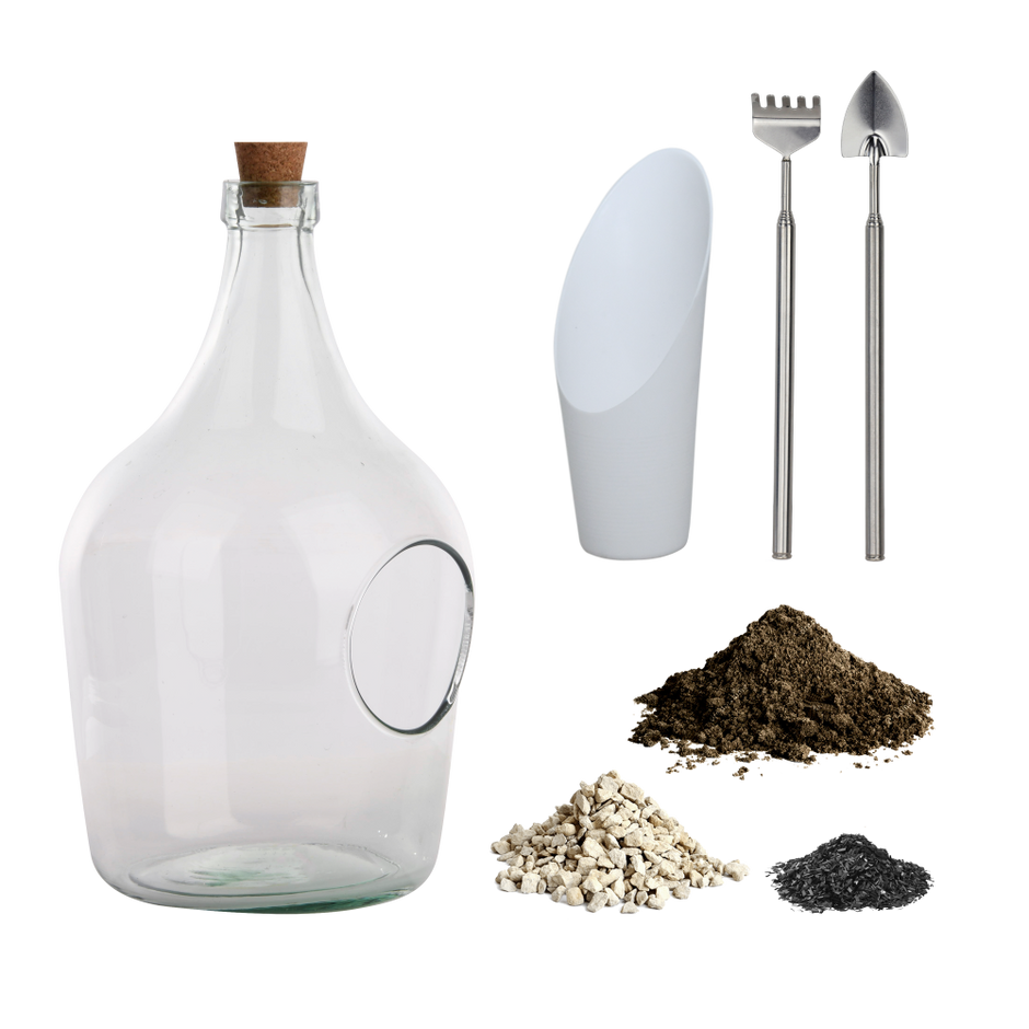 Terrariums - Ecosystem with plants - DIY terrarium Kit – Noah ...