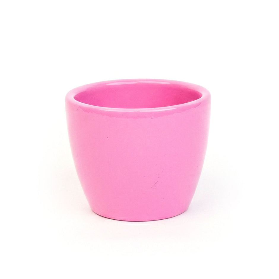 Mini Pink Plant Pot for Succulents | Mini Flower Pots – urbanjngl.com